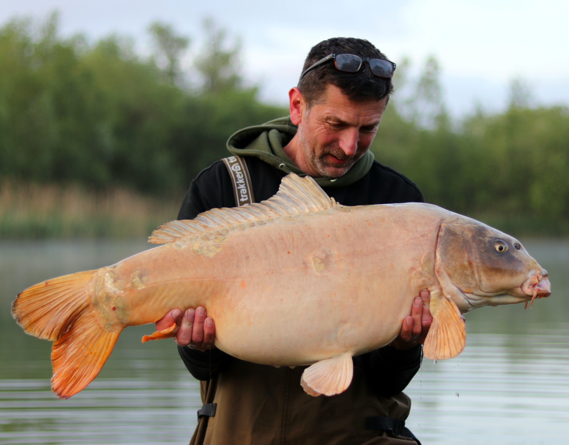 The big koi | Total Carp